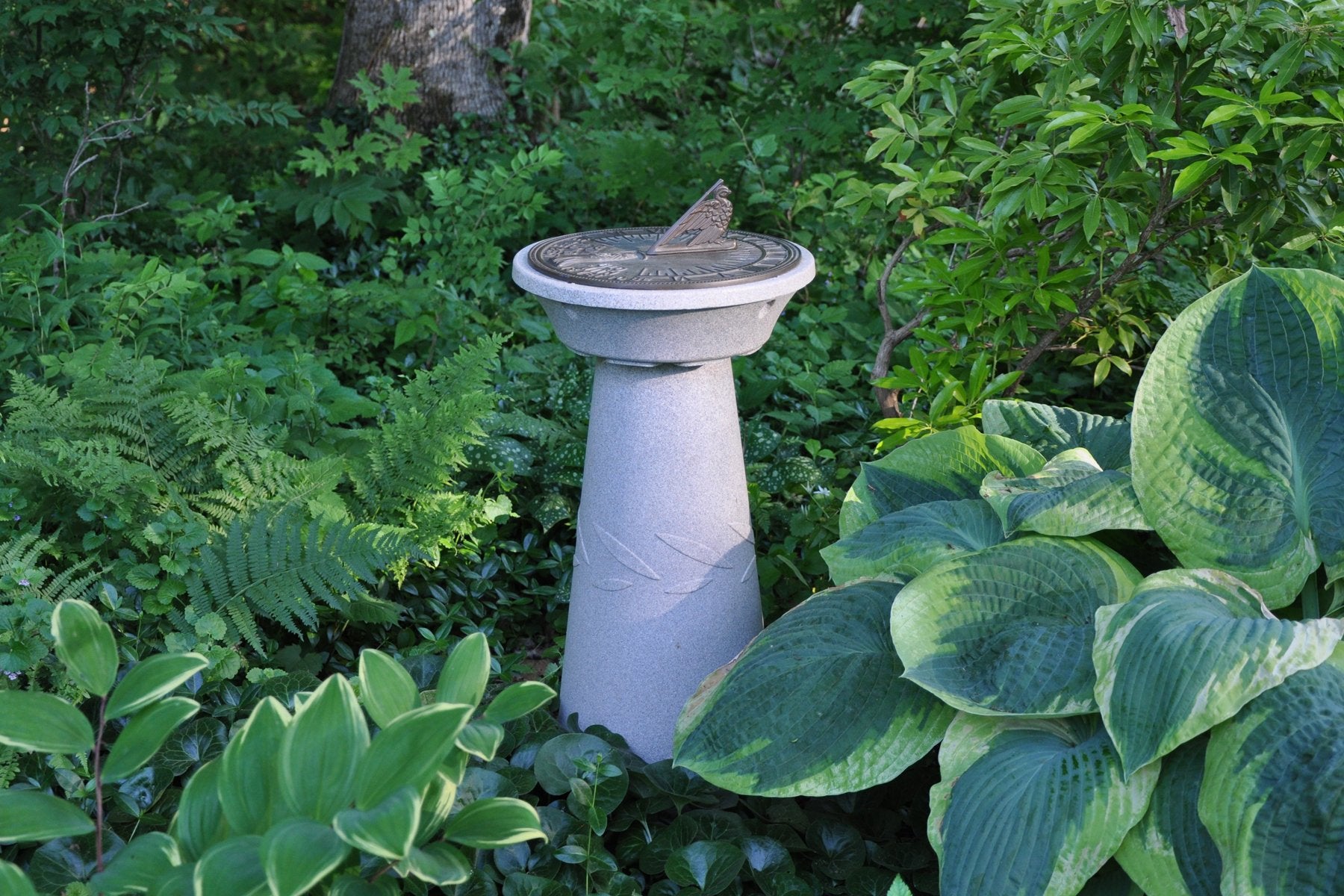 Why Hiding Your Septic Vent Matters More Than You Think – Dirty Bird